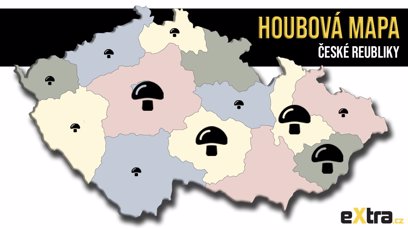 houbová mapa – nejnovější zprávy a fotografie – eXtra.cz