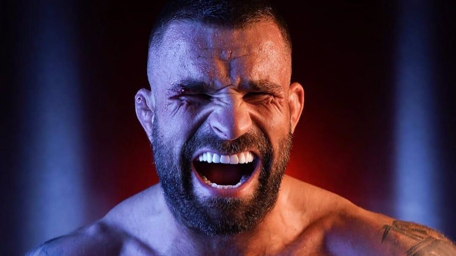 Boj o titul vyhrál Karlos "Terminátor" Vémola. Francouzského bijce ...