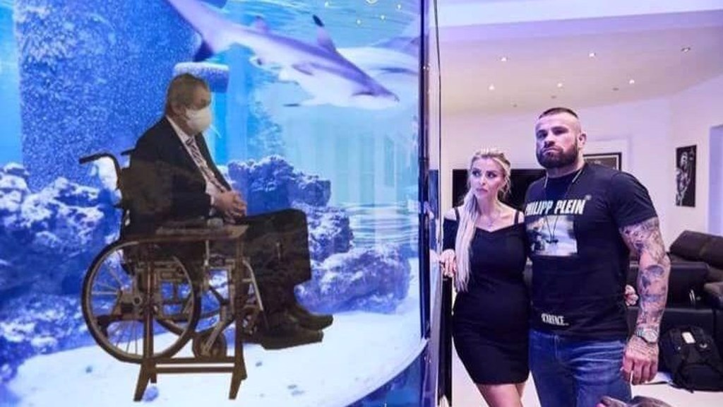 Miloš Zeman: Lidé se baví speciálním boxem. Podívejte se na vtipné ...