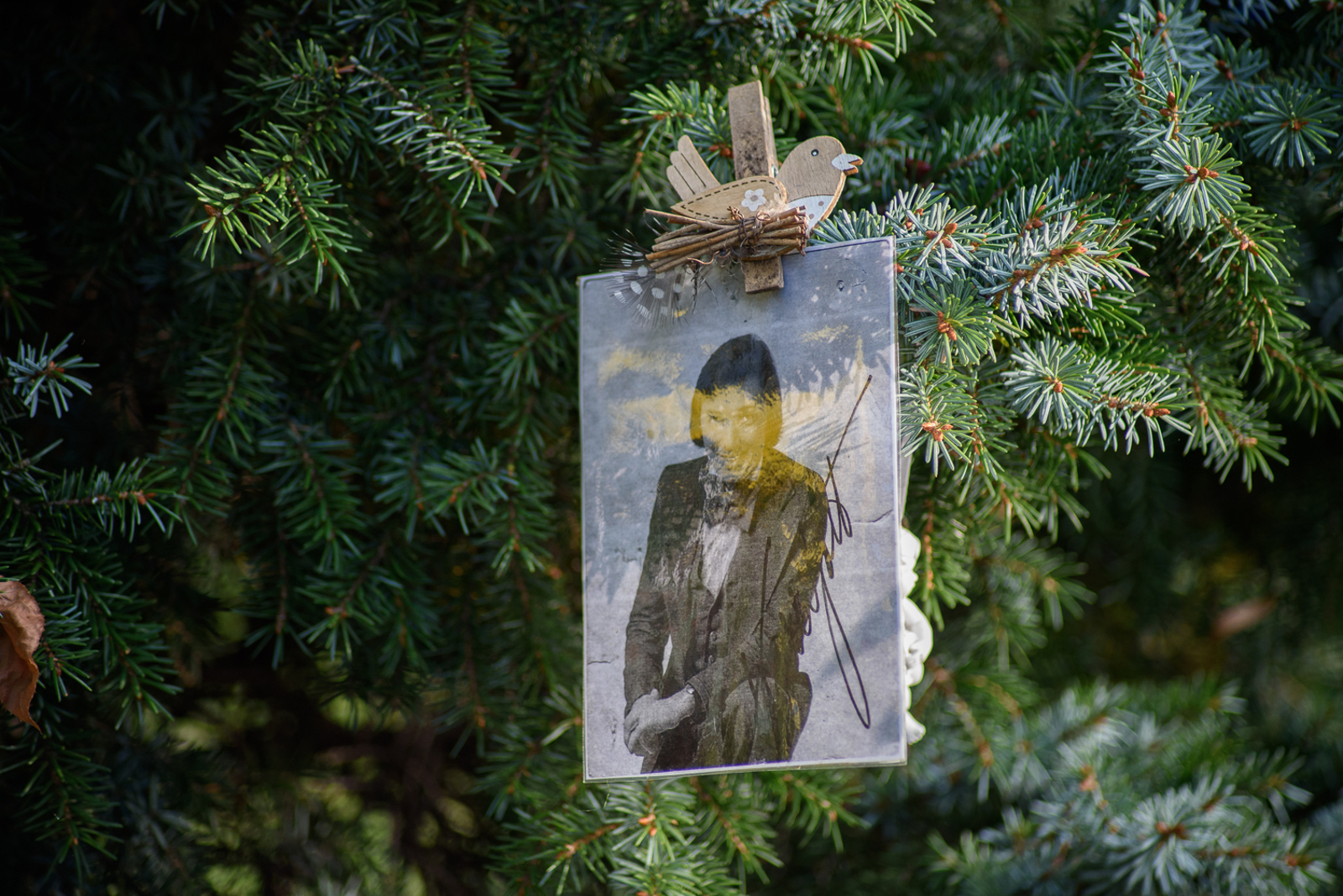 Galerie: Karel Gott: Mistrův hrob stráží andělé. Nechybí ani symbol ...