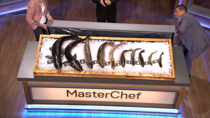 Galerie: MasterChef 2022: Milan Demeter získal od Radka Kašpárka ...