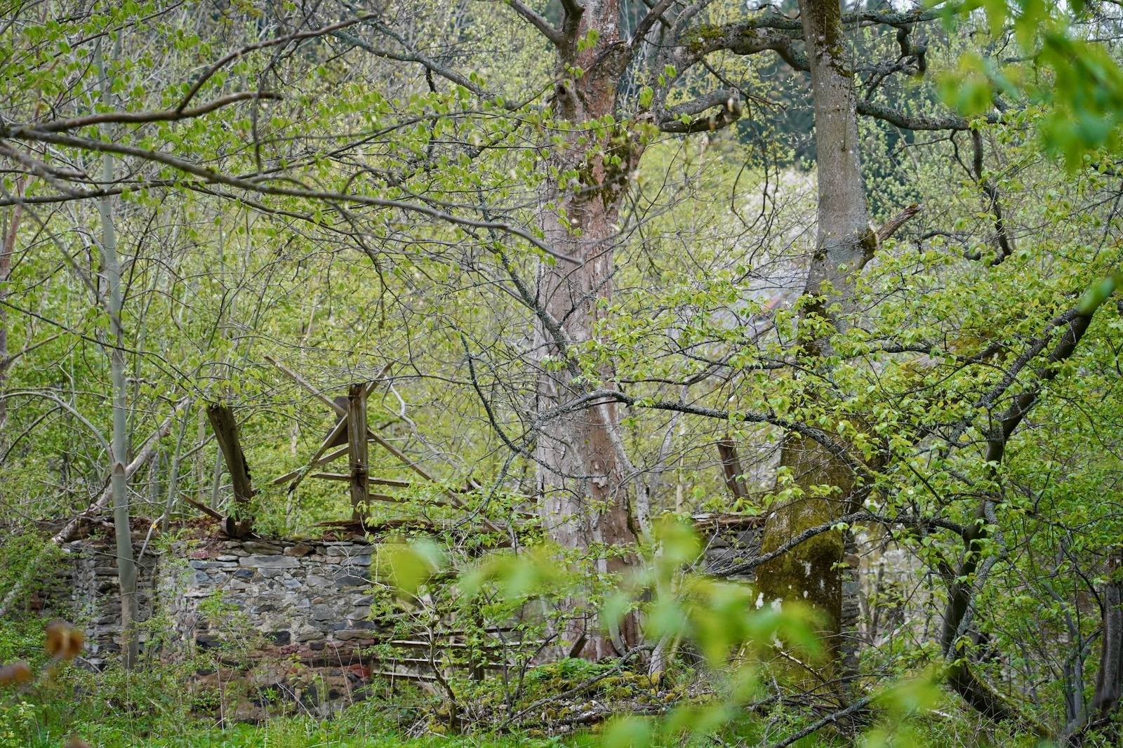 Galerie: Vrah Ivan Roubal se vrací. Jeho případ míří na televizní ...