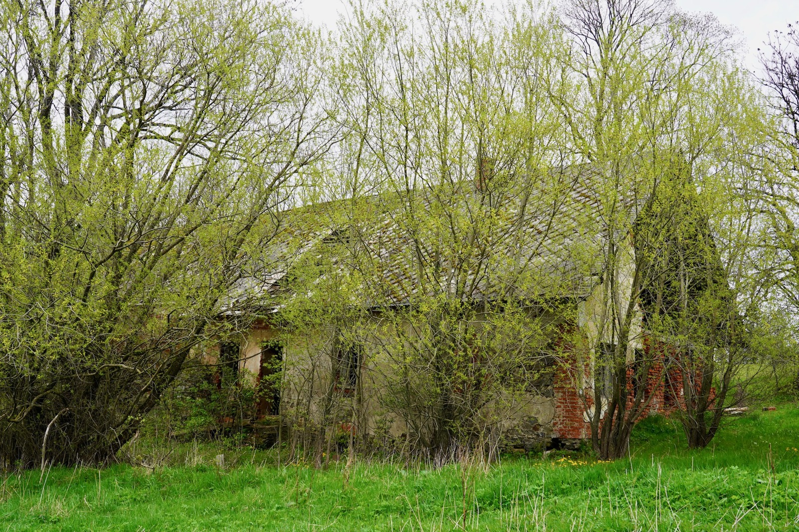 Galerie: Vrah Ivan Roubal se vrací. Jeho případ míří na televizní ...