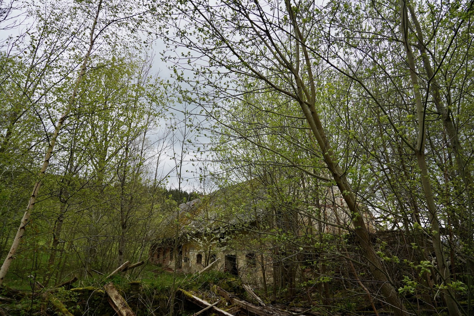 Galerie: Vrah Ivan Roubal se vrací. Jeho případ míří na televizní ...