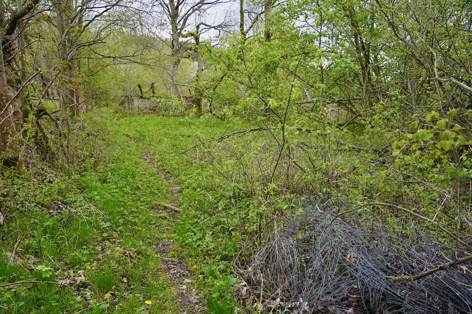 Galerie: Vrah Ivan Roubal se vrací. Jeho případ míří na televizní ...