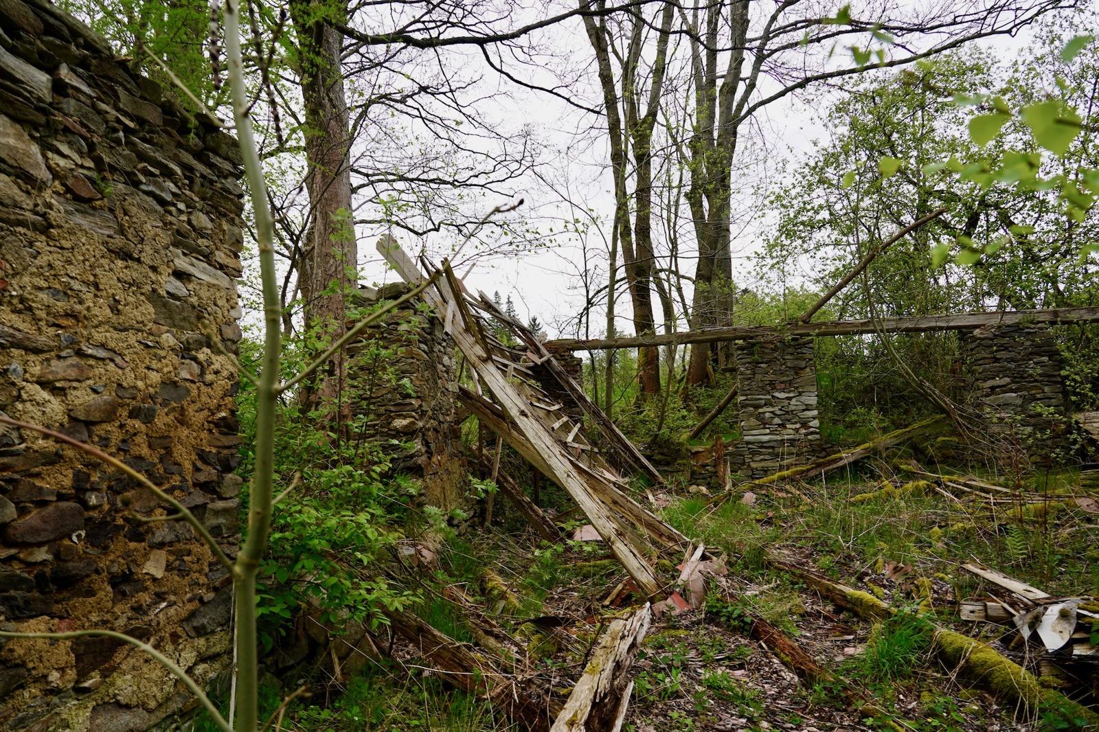 Galerie: Vrah Ivan Roubal se vrací. Jeho případ míří na televizní ...