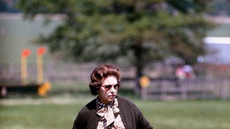 Galerie: Meghan Markle a princ Harry přišli o královskou podporu: Král ...