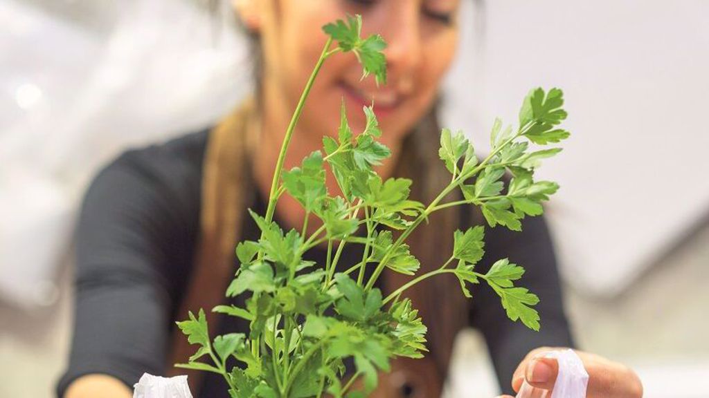 Tesco uvádí na trh nové opakovaně použitelné a recyklovatelné nákupní ...