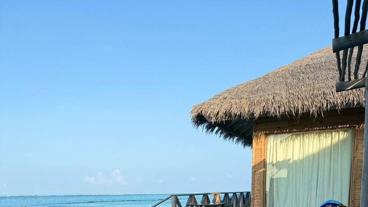 Galerie: Anna-Marie o výroku šovinistického miliardáře Richarda Chlada ...