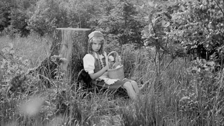 Galerie: Dana Vávrová z Arabely se dožila jen 41 let: Bylo to hrozné ...