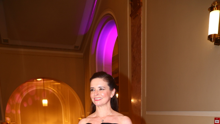 Galerie: Česko-Slovenský ples je tady: Andrea Verešová, Felix Slováček ...