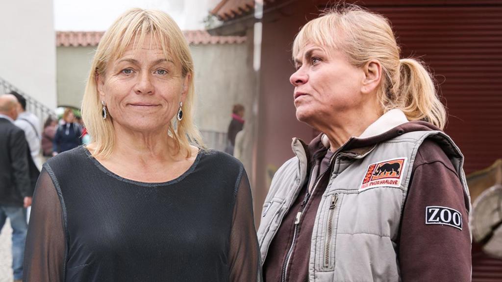 Pavla Tomicová překopala svůj život a nakonec se nečekaně vrací do Zoo – eXtra.cz