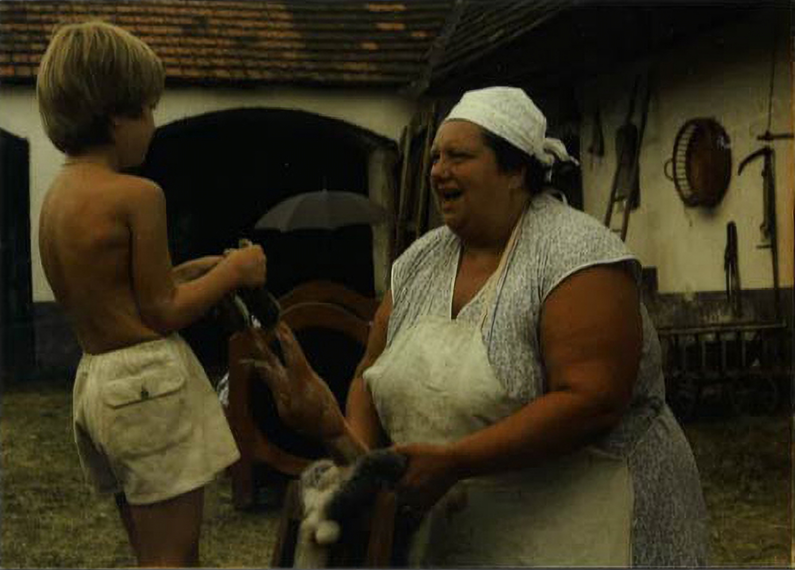 Galerie: KVÍZ: Před 42 lety se začalo natáčet Slunce, seno, jahody ...