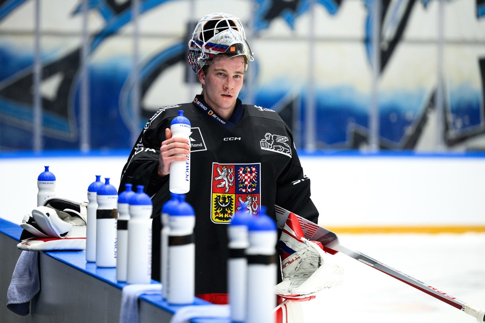 Galerie: Lukáš Dostál chybí na mistrovství světa v hokeji, David ...