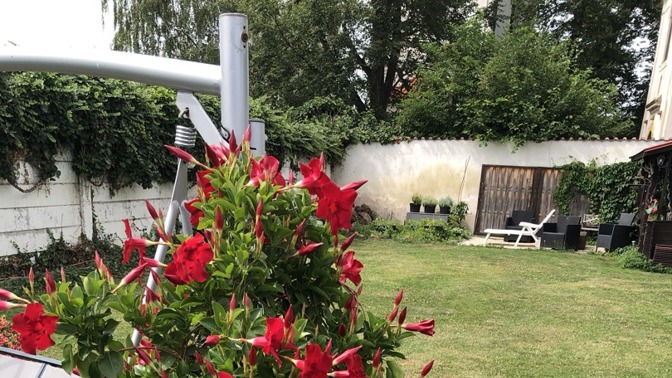 Galerie: Zpěvák Dalibor Janda ukázal svou neobyčejnou zahradu ...