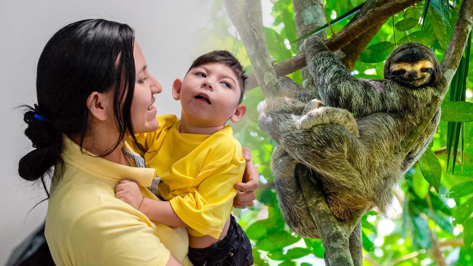 Lenochodí virus děsí Evropu: Rodí se po něm zmrzačené děti a není na ...