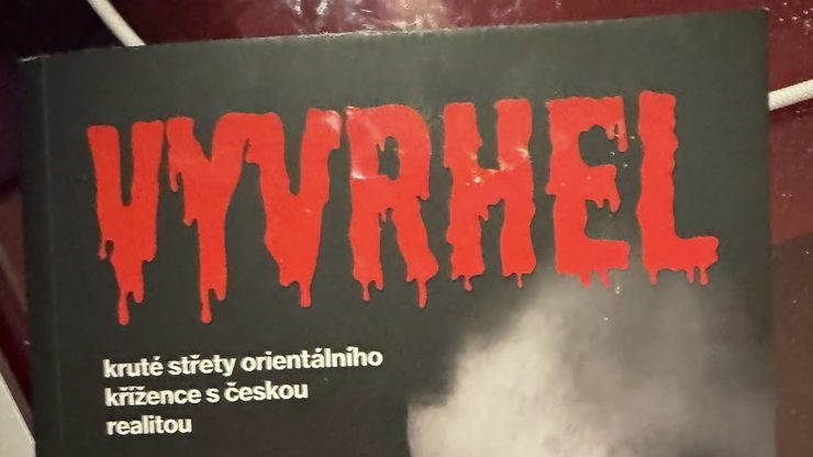 Galerie: Zpěvák Samir Hauser o devadesátkách: Drogy vám ten život ...