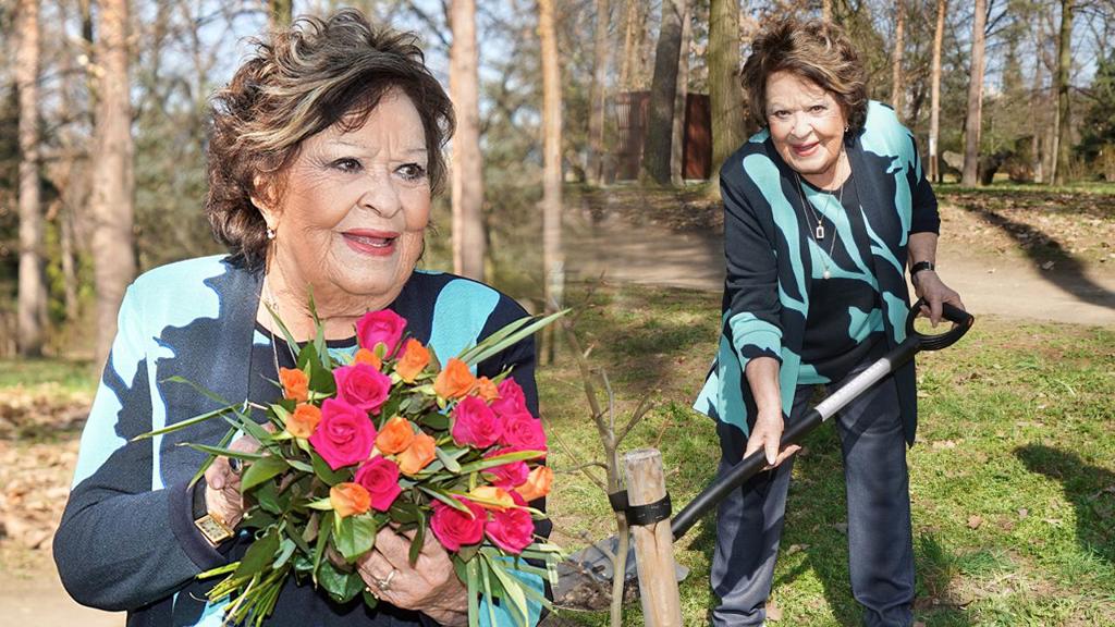 Jiřina Bohdalová v plné síle: Herečka se chopila rýče a s vervou se ...